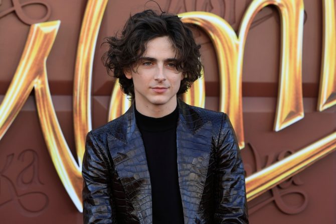 Timothée Chalamet's Net Worth, Career & Personal Life 2025