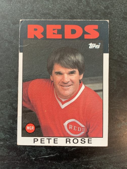 Pete Rose Wikipedia, Biography, Age, Family, Height, Net Worth, Fast ...