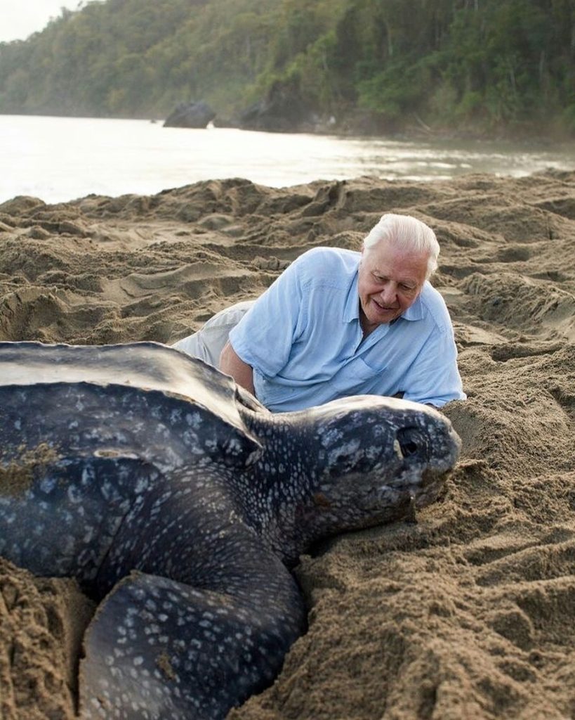 David Attenborough Net Worth 2025 & Life Insights