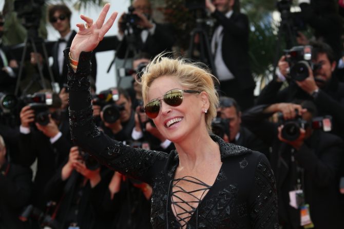 How Rich Is Sharon Stone? Wikipedia, Biography, Age, Family, Height ...