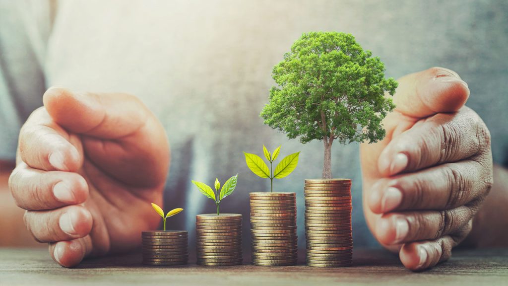 The Future of Wealth Management in the U.S. 2025